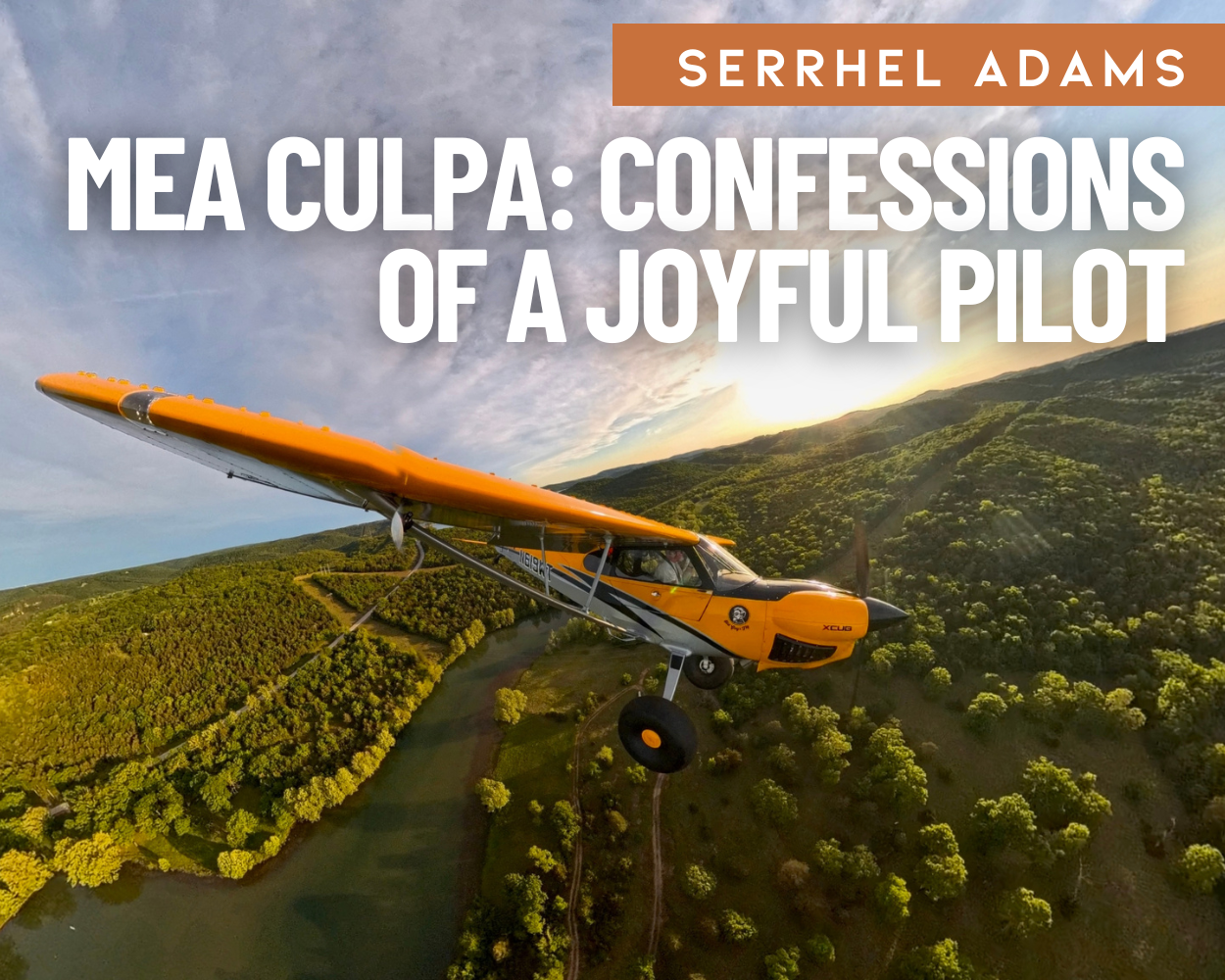 Mea Culpa: Confessions of a Joyful Pilot : Air Facts Journal